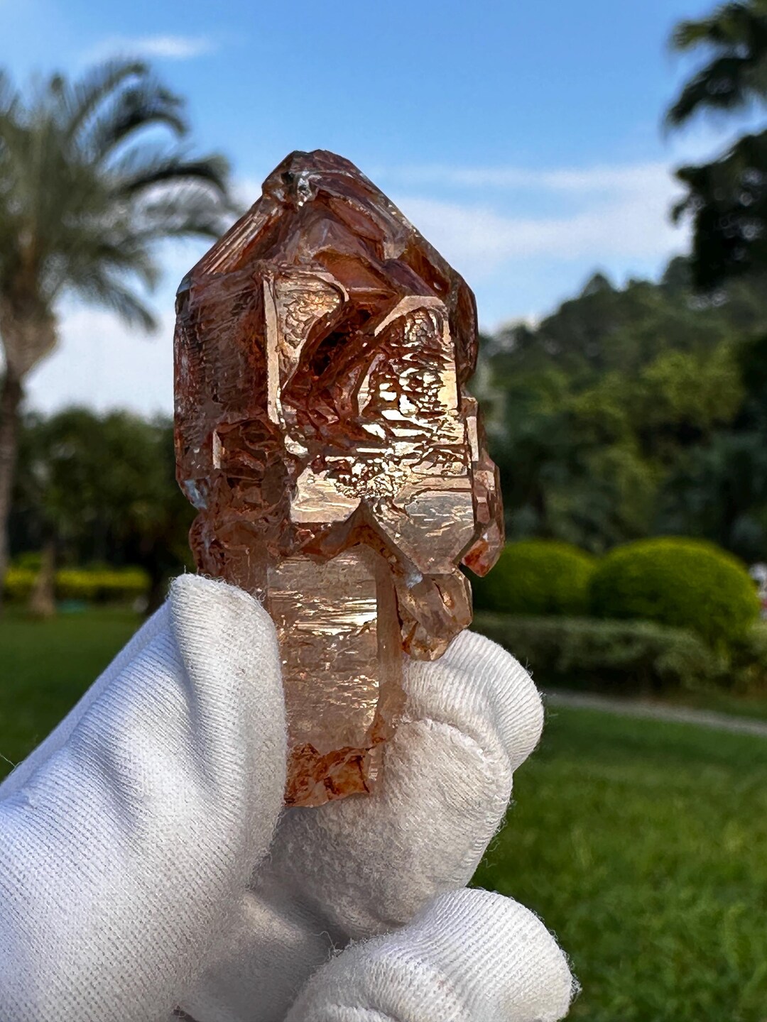 Rarest Golden Skeletal W/uv Reactive Petroleum and Red Clay Inclusions ...