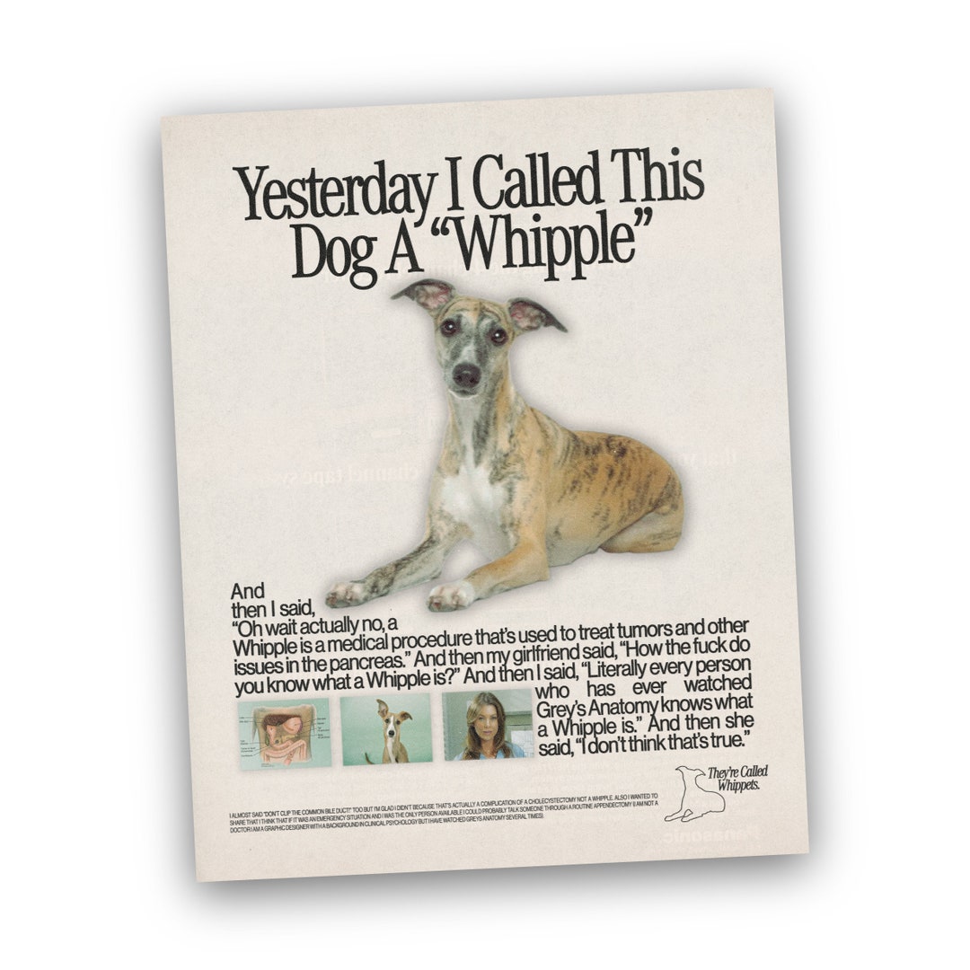 Digital Download - Whipple Print - Etsy