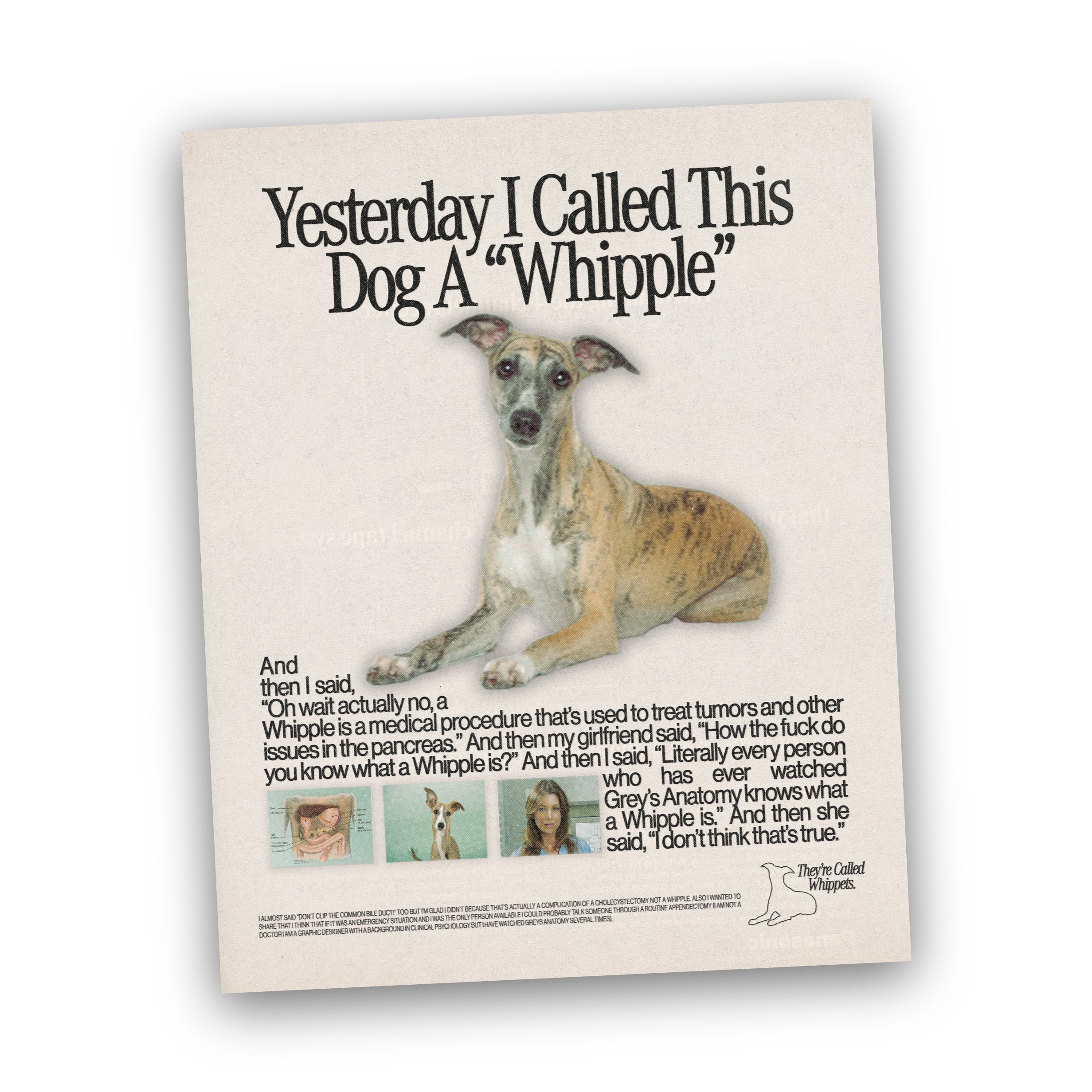 Digital Download Whipple Print - Etsy