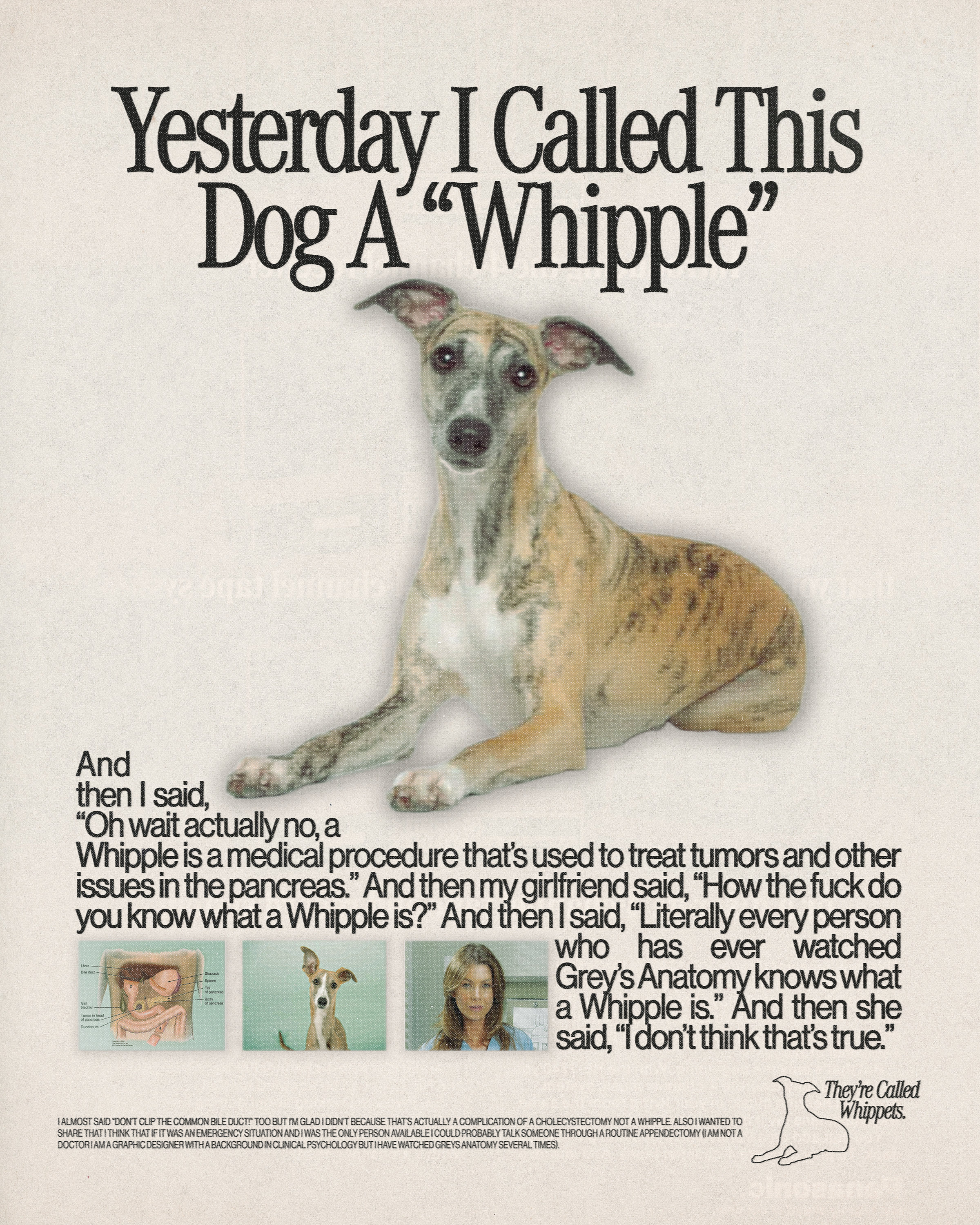 Digital Download Whipple Print - Etsy