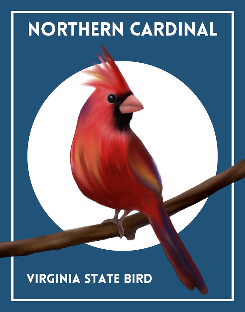 Northern Cardinal Bird Art Print Virginia State Bird Bird Lover Gift ...