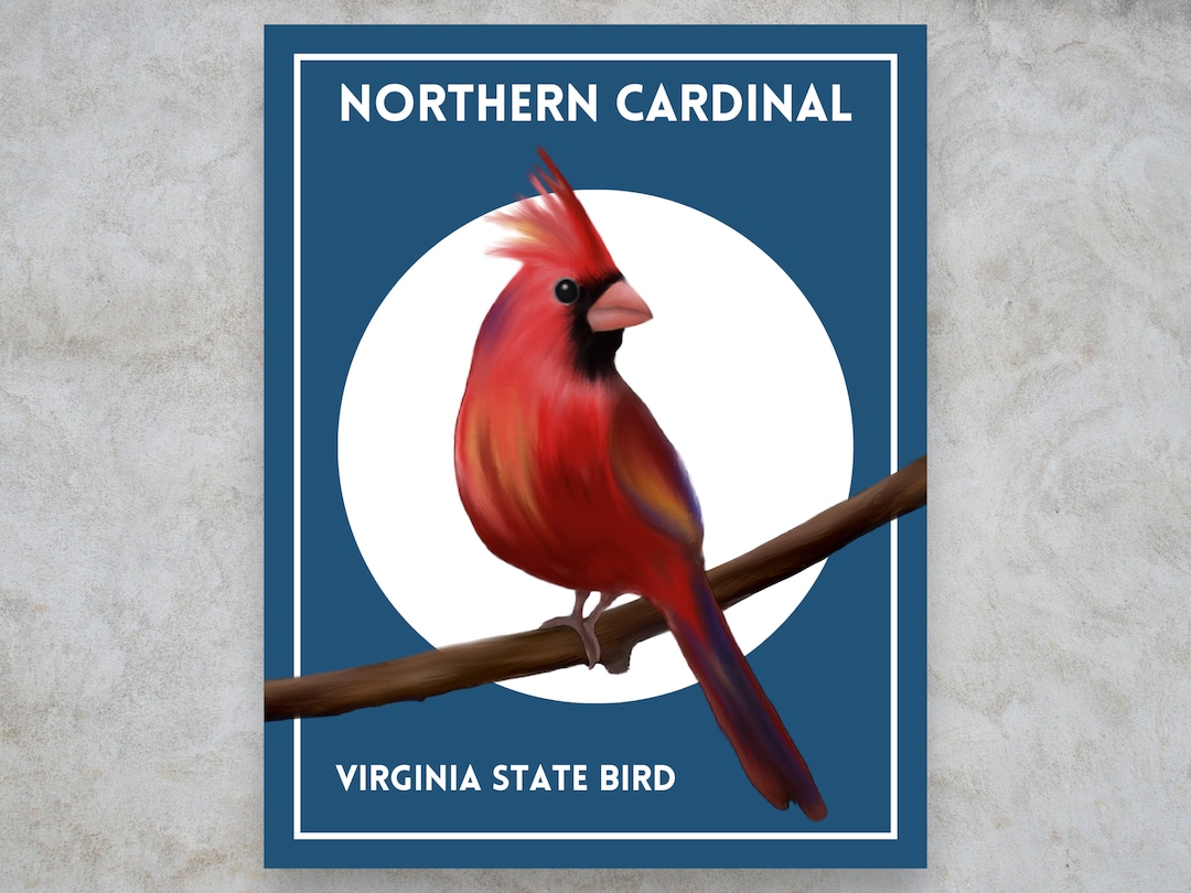 Northern Cardinal Bird Art Print | Virginia State Bird | Bird Lover ...