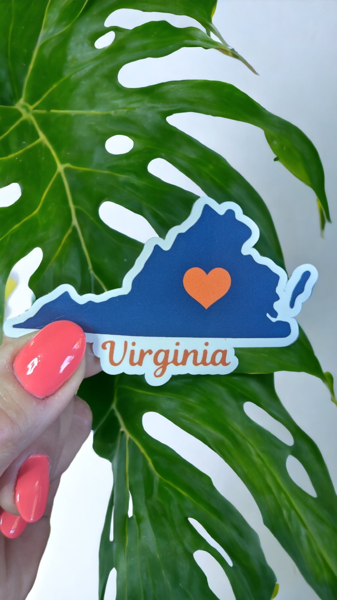 Virginia UVA Wahoo Sticker, Weatherproof, Durable Vinyl VA State Decal ...