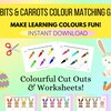 Learn Colours, Toddler Colour Matching Gummy Bear Sweets Game, Bear ...