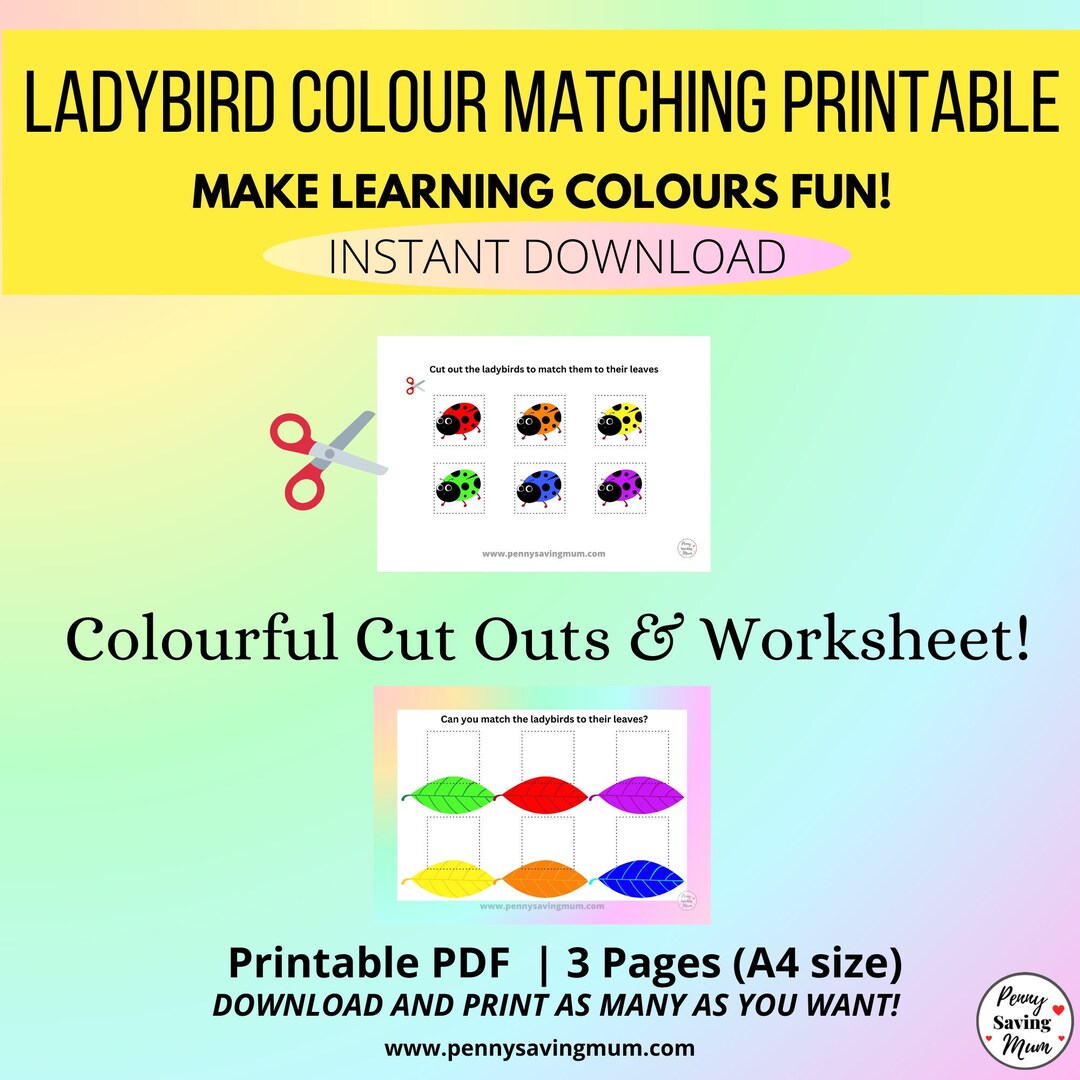 Learn Colours, Toddler Colour Matching, Ladybird, Ladybug, Leaf, Colour ...
