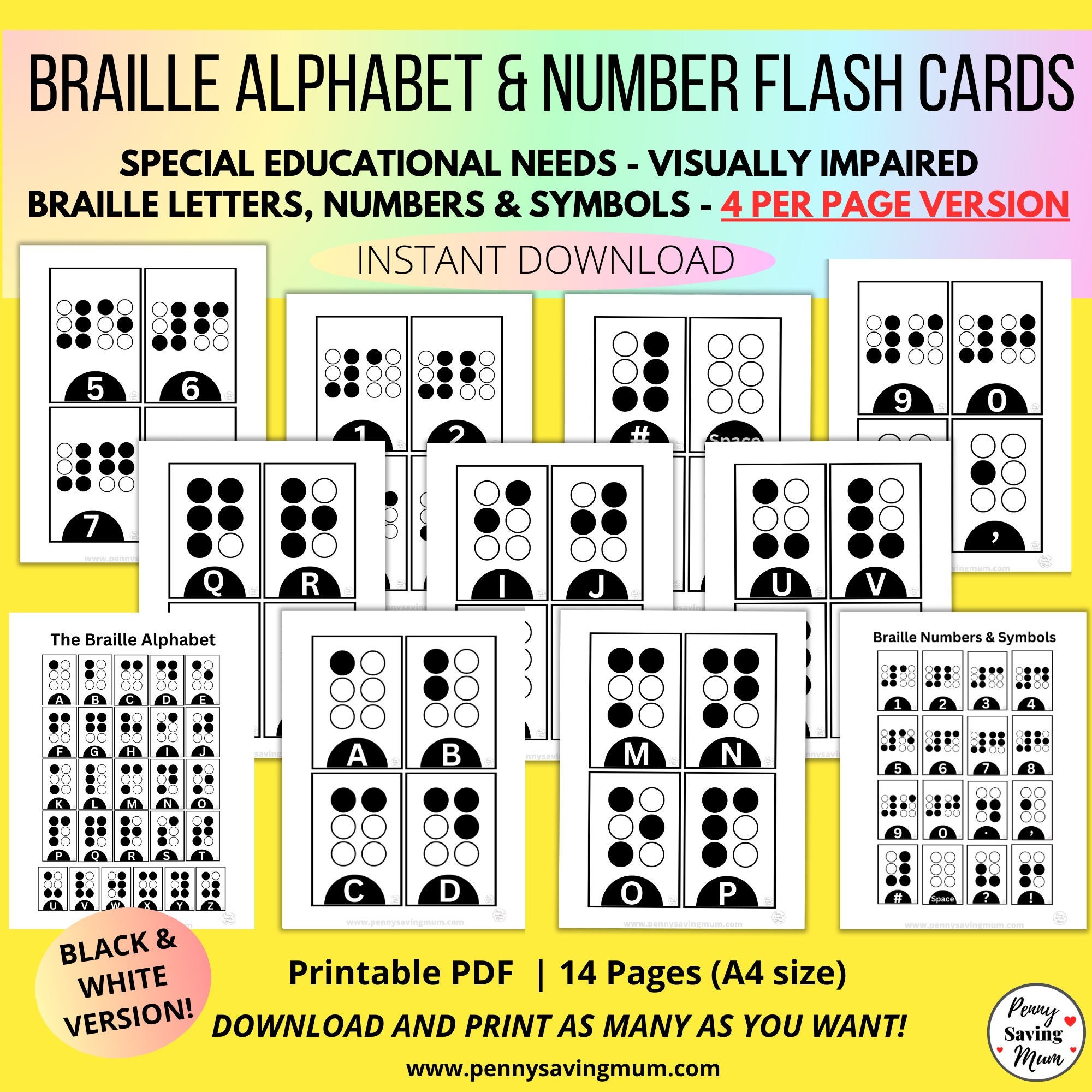 Braille Alphabet Flash Cards, Learn Braille Numbers, Special ...