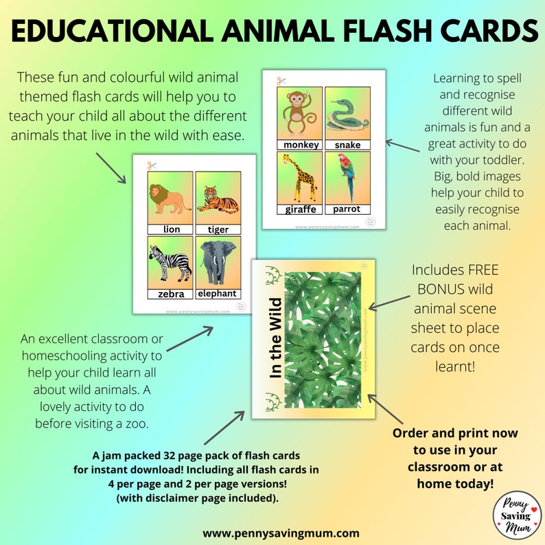 40 Wild Animal Printable Flash Cards, Montessori Toddler Activity ...