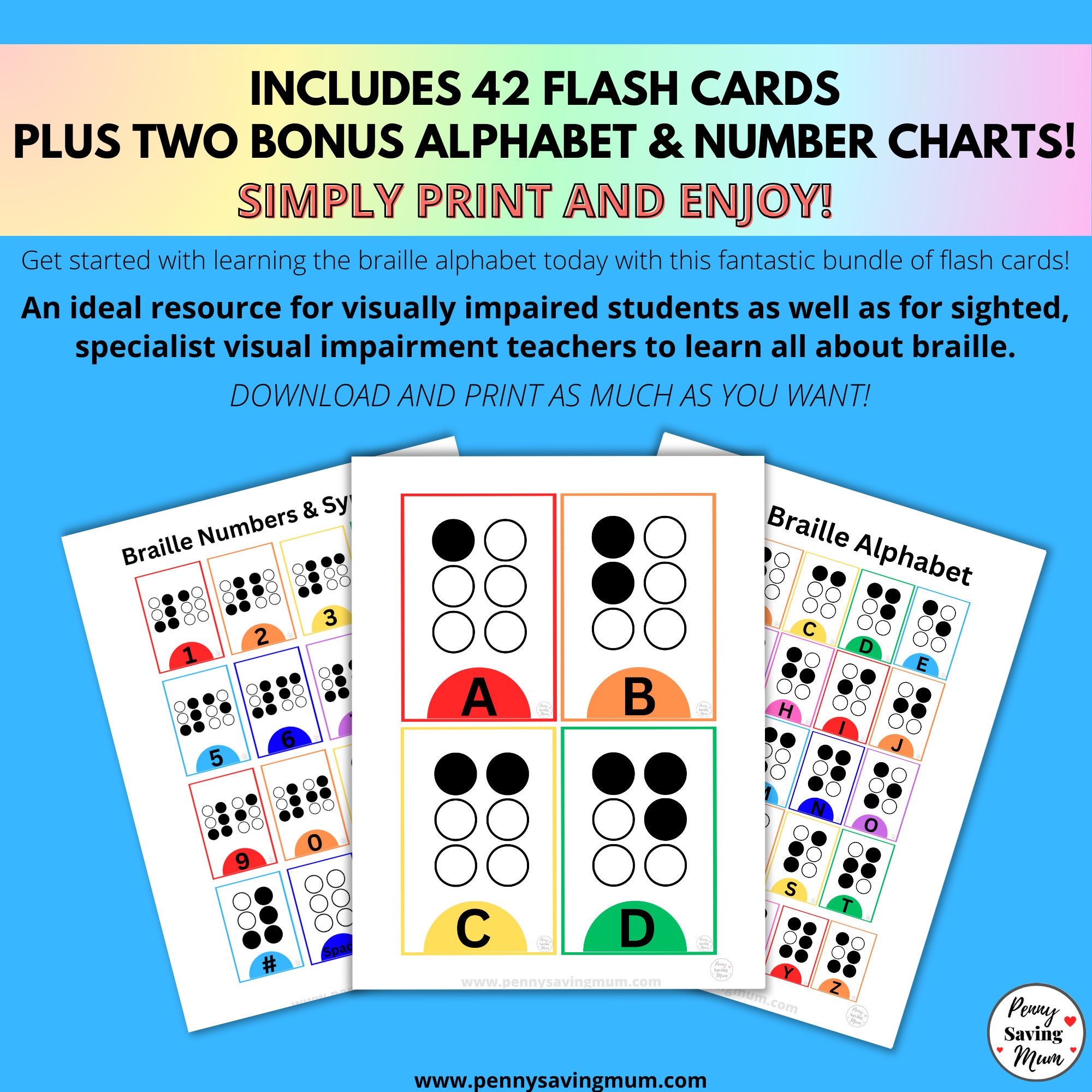 Braille Alphabet Flash Cards, Learn Braille Numbers, Special ...