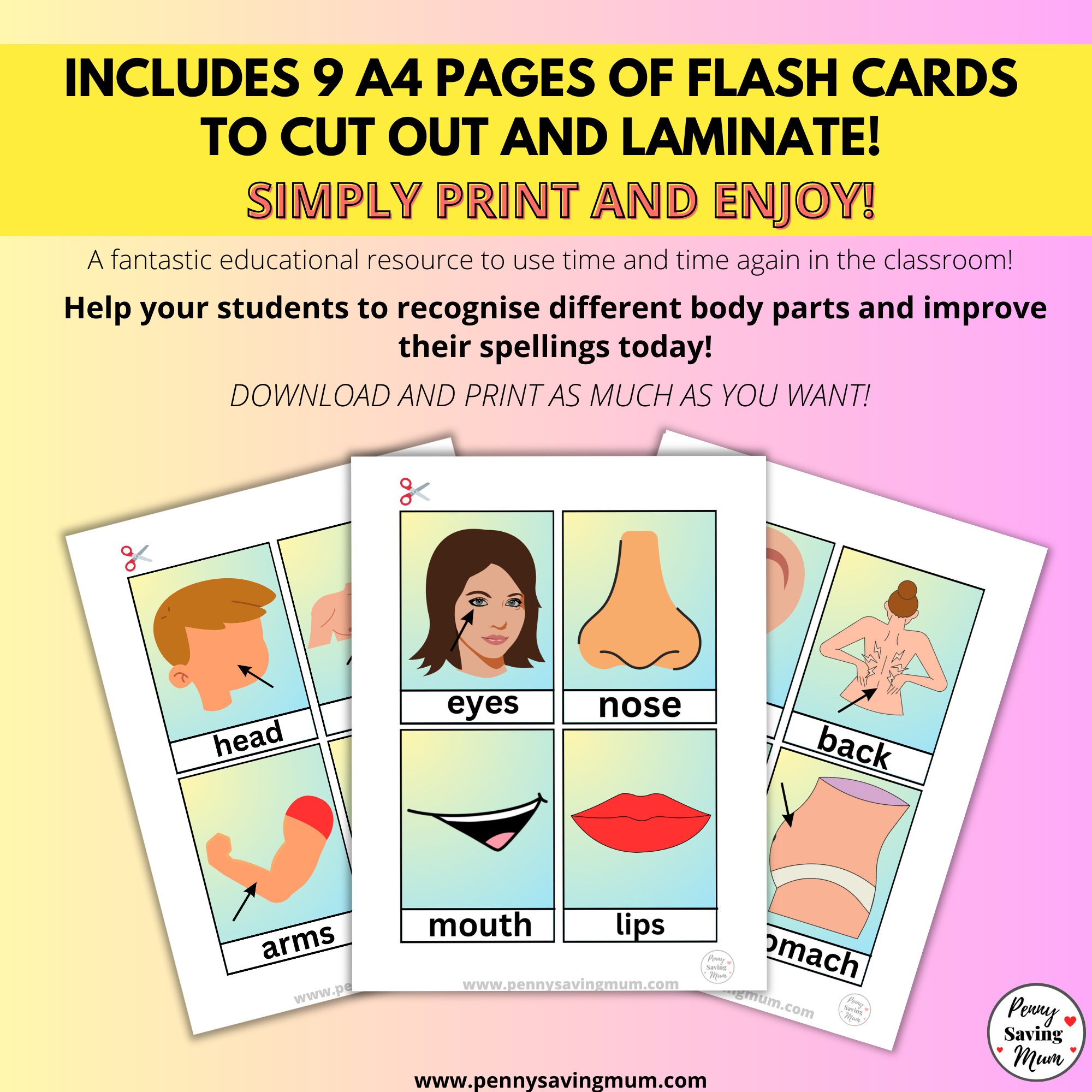 Learn Body Parts Flash Cards, Body Parts Printable, Preschool ...