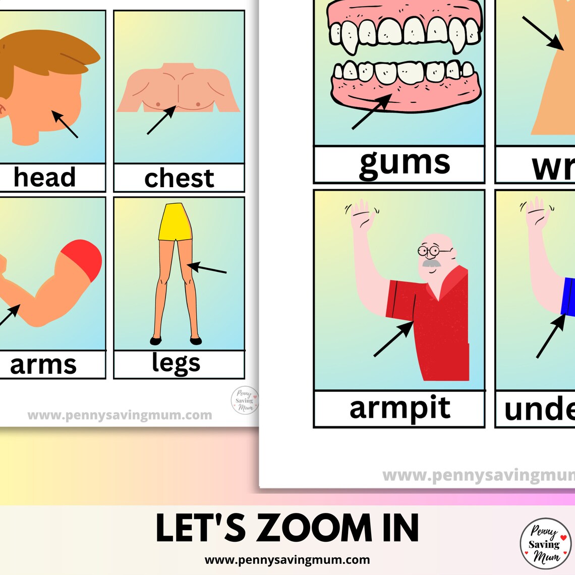 Learn Body Parts Flash Cards Body Parts Printable Preschool - Etsy Canada