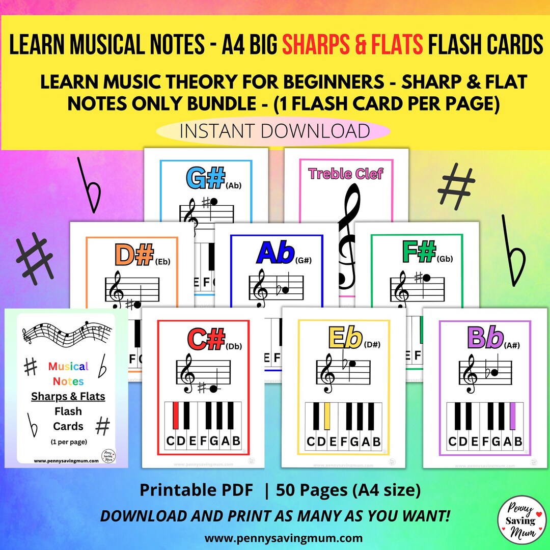 Music Theory, Musical Note Flash Cards, Sharps & Flats, Treble Bass ...