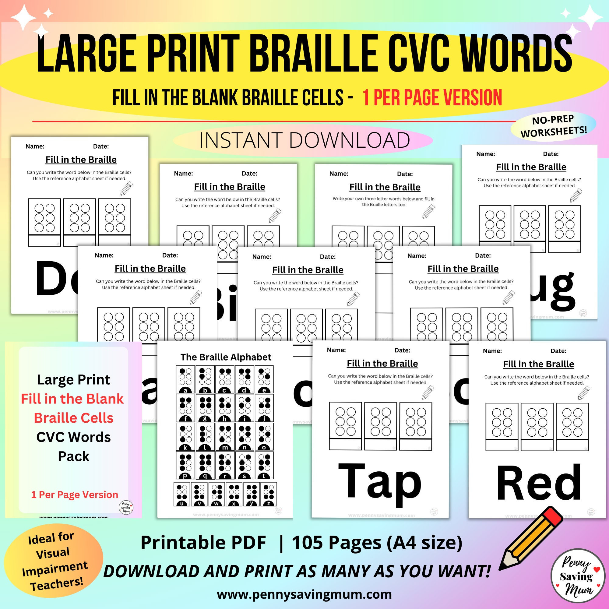 Large Print, Learn Braille, Braille CVC Words, Visual Impairment, Blind ...