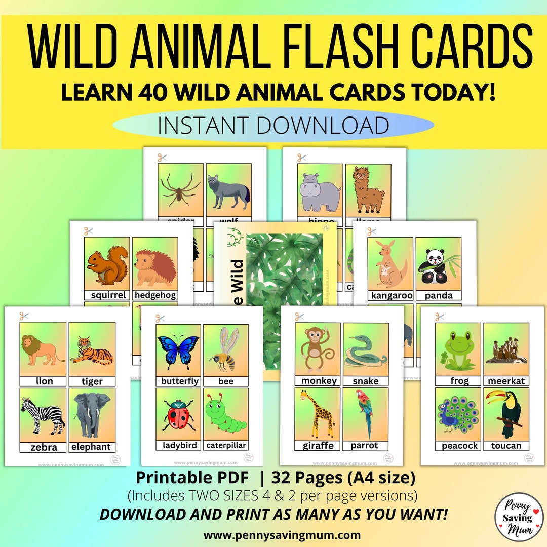 40 Wild Animal Printable Flash Cards, Montessori Toddler Activity ...