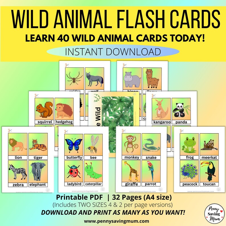40 Wild Animal Printable Flash Cards, Montessori Toddler Activity ...
