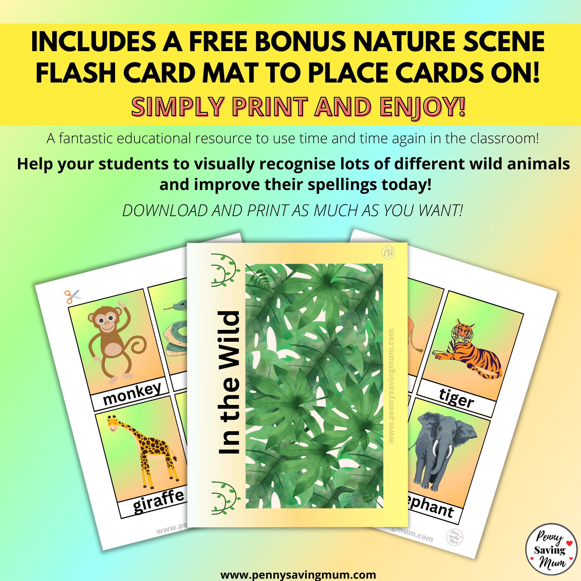 40 Wild Animal Printable Flash Cards, Montessori Toddler Activity ...