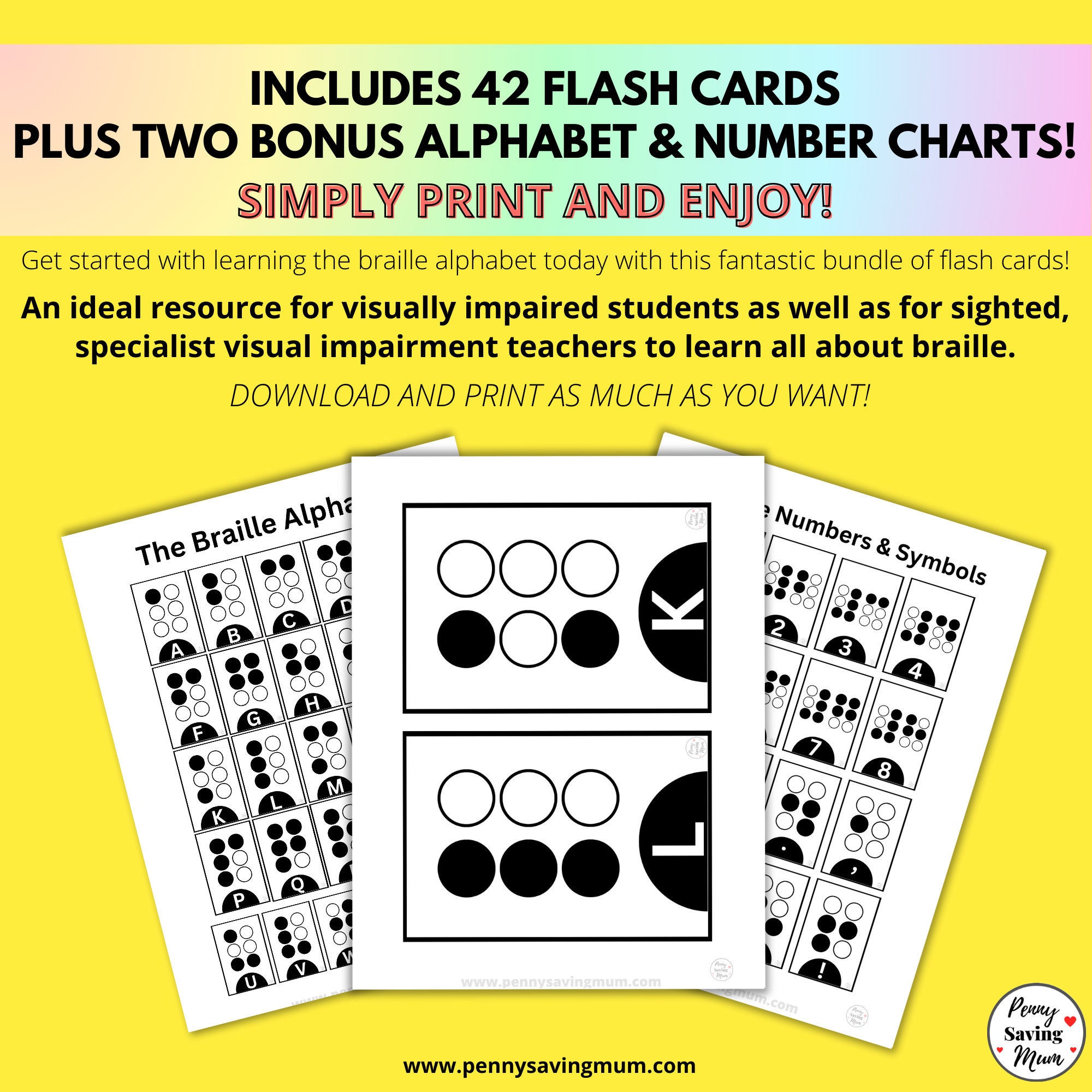 Braille Alphabet Flash Cards, Learn Braille Numbers, Special ...