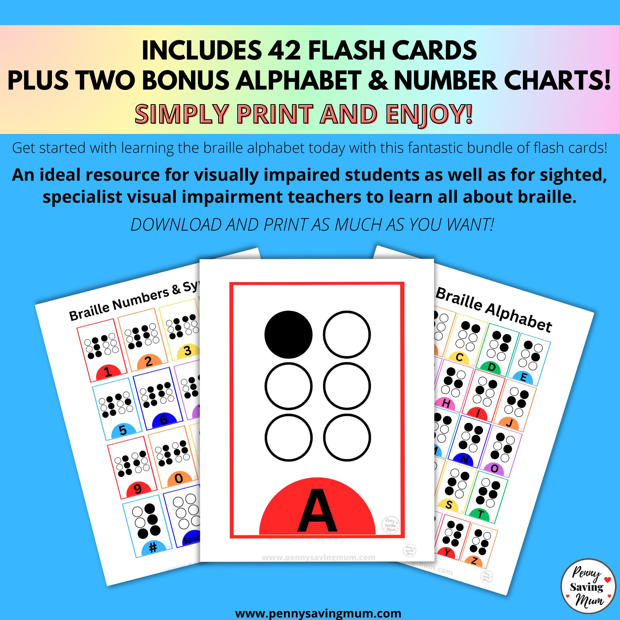 Braille Alphabet Flash Cards, Learn Braille Numbers, Special ...