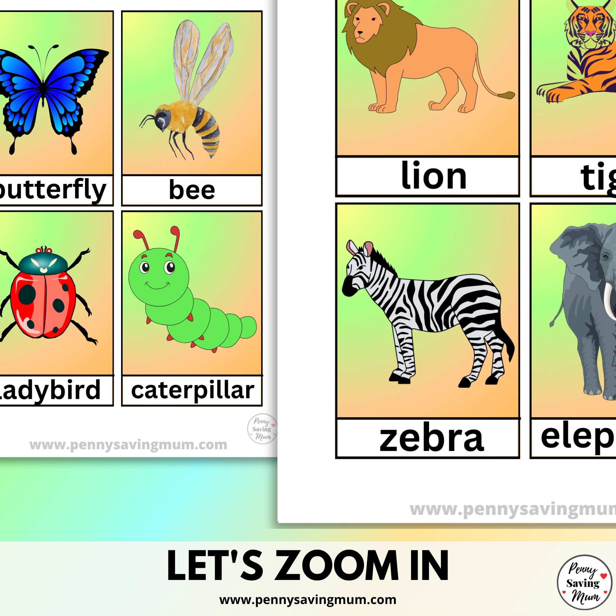 40 Wild Animal Printable Flash Cards, Montessori Toddler Activity ...