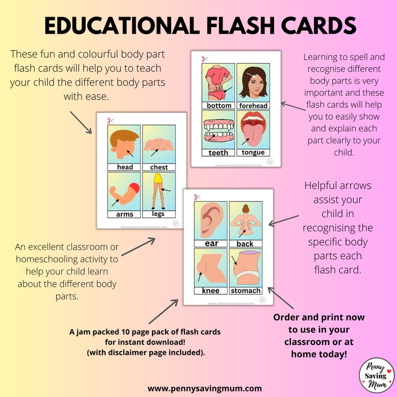 Learn Body Parts Flash Cards, Body Parts Printable, Preschool ...