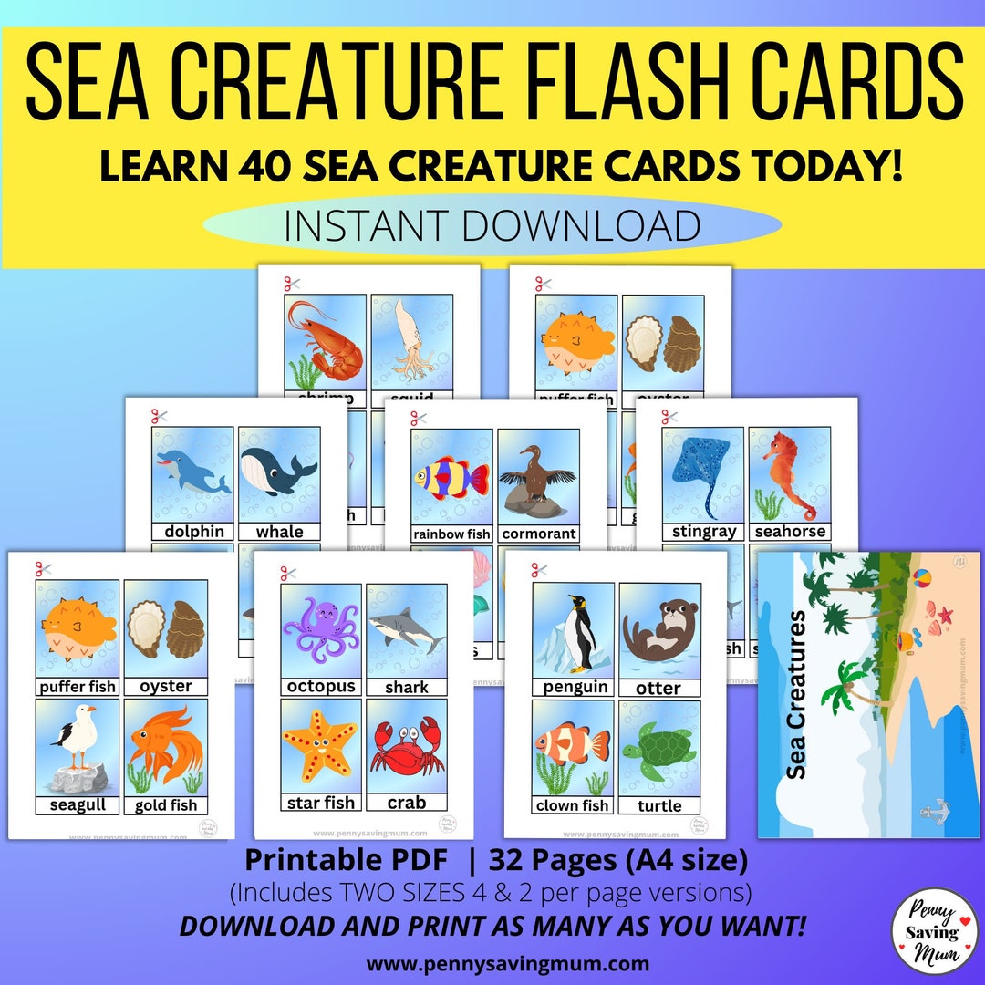 40 Sea Creature Printable Flash Cards, Montessori Toddler Activity ...