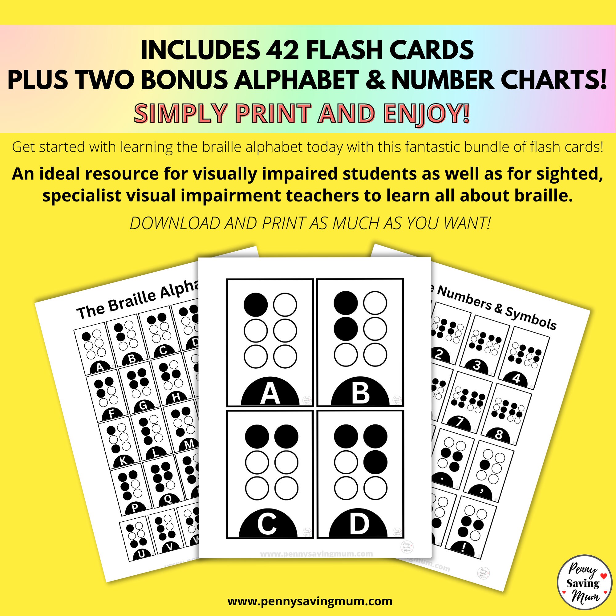 Braille Alphabet Flash Cards, Learn Braille Numbers, Special ...