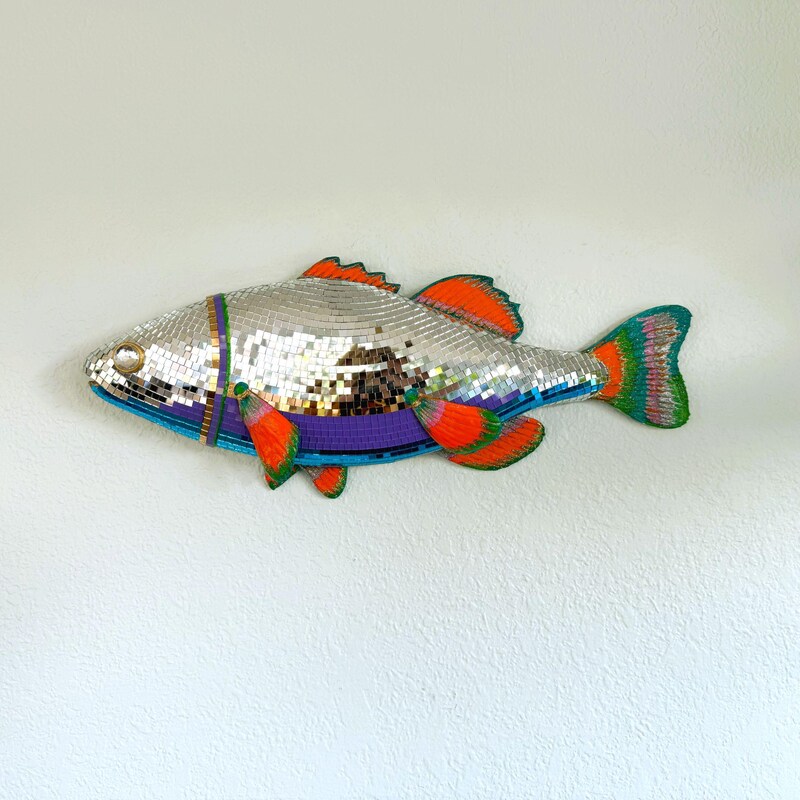 Funky Fish - Etsy