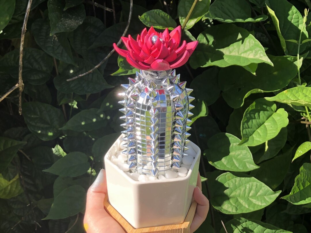 Disco Spike Cactus | Disco Ball Mirror Art | Eclectic Home Accent - Etsy