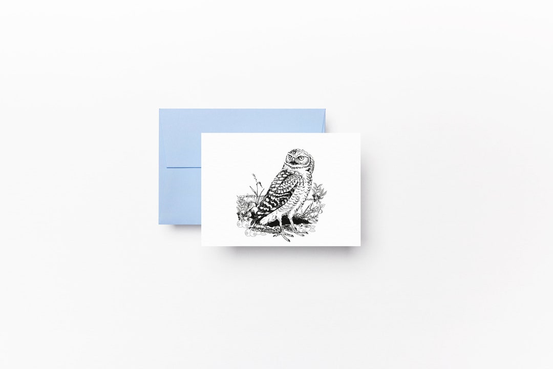 Owl Postcards, Barn Owl Art, Birds of Prey Art, Snowy Owl Prints, Great ...
