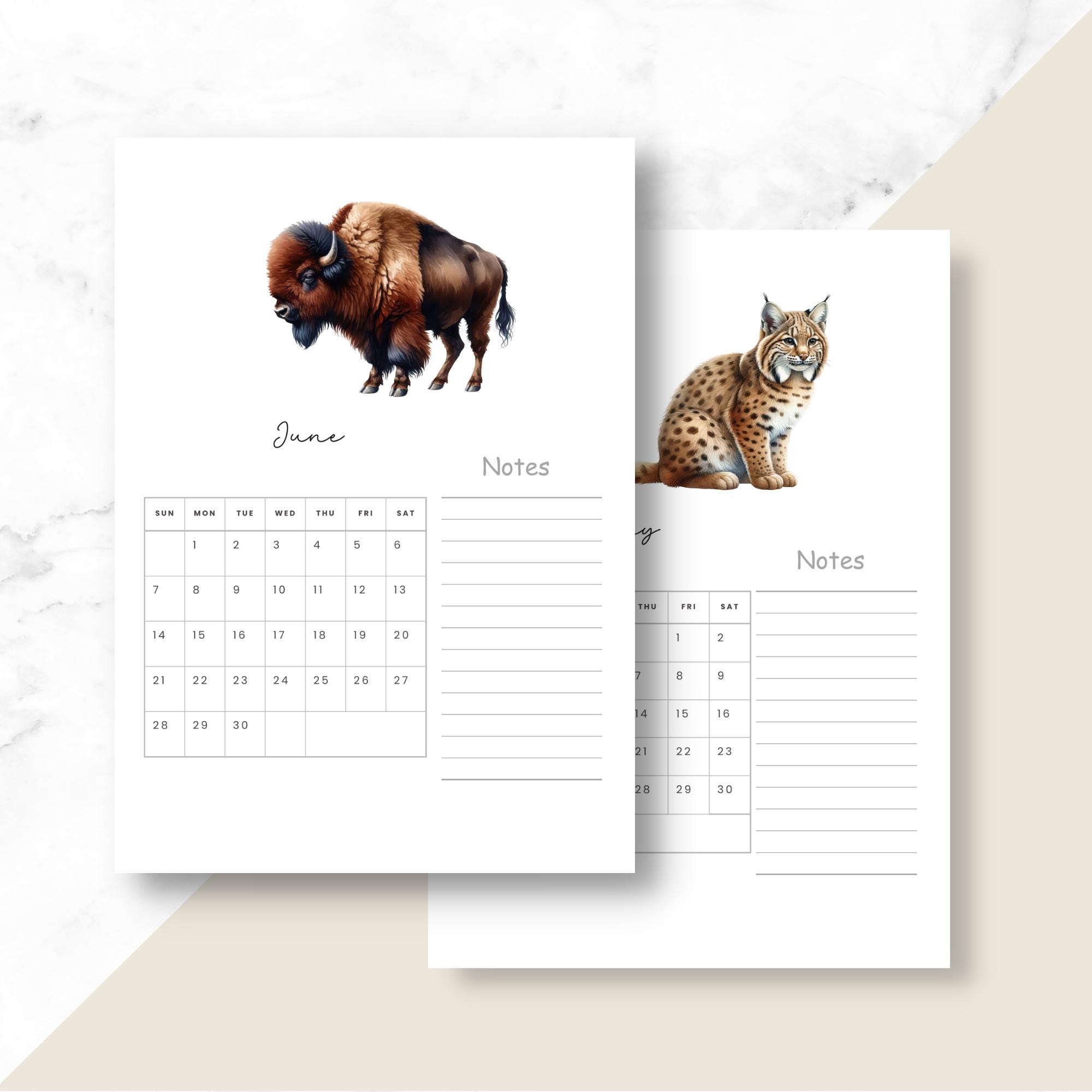 Woodland Animal Calendar | 2025-2026 Printable Monthly Calendar - Etsy