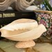 Handmade Natural Seashell Footed Bowl | Antique Seashell Dish | Real ...