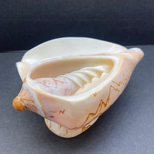 Handmade Natural Seashell Footed Bowl | Antique Seashell Dish | Real ...