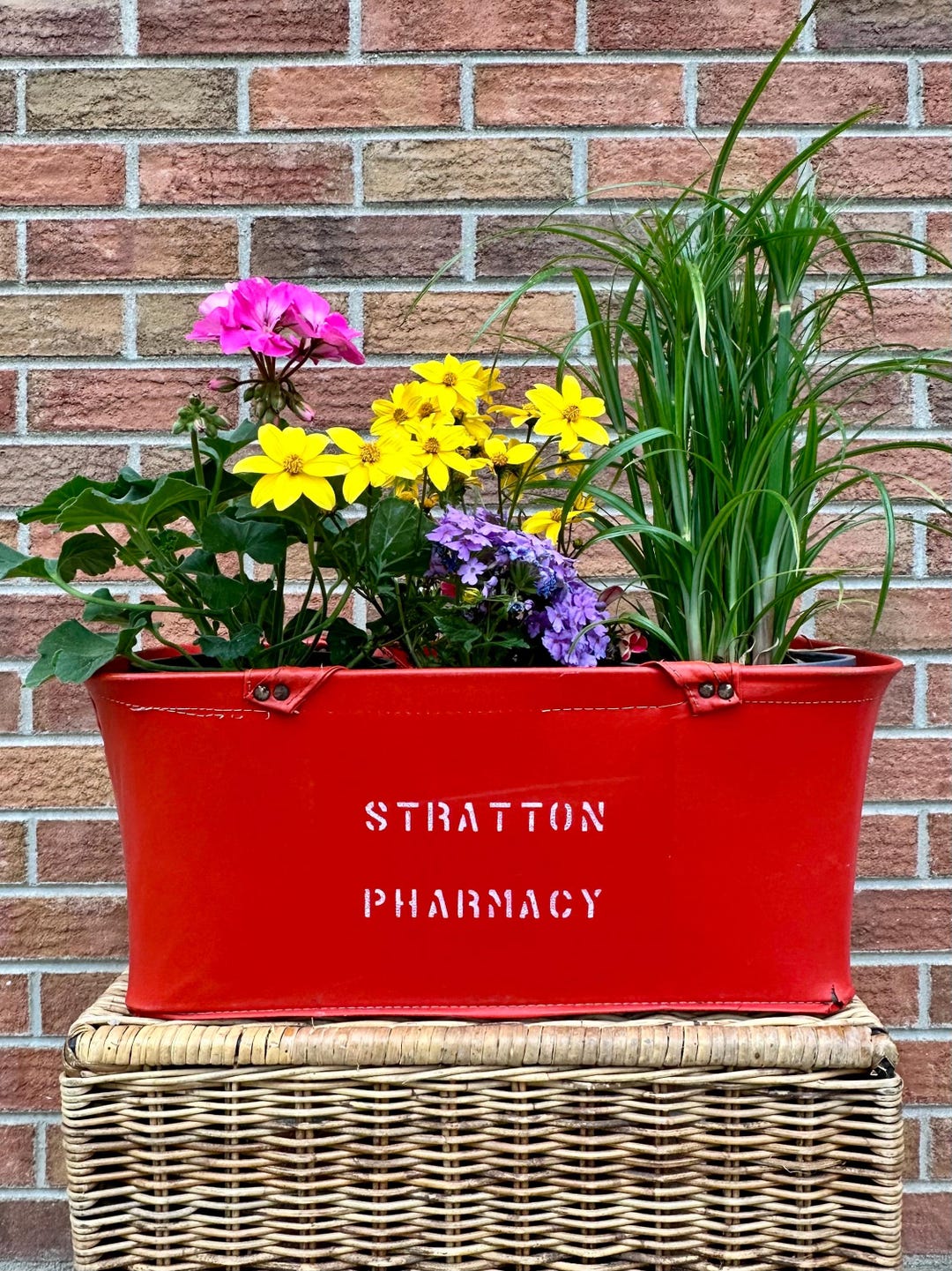 Vintage Stratton Pharmacy Basket – 1960s Red Vinyl Wire Shopping Basket ...