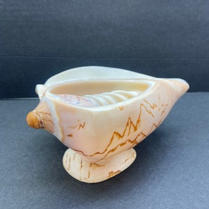 Handmade Natural Seashell Footed Bowl | Antique Seashell Dish | Real ...