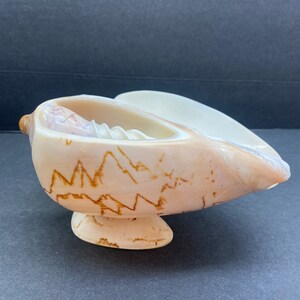 Handmade Natural Seashell Footed Bowl | Antique Seashell Dish | Real ...