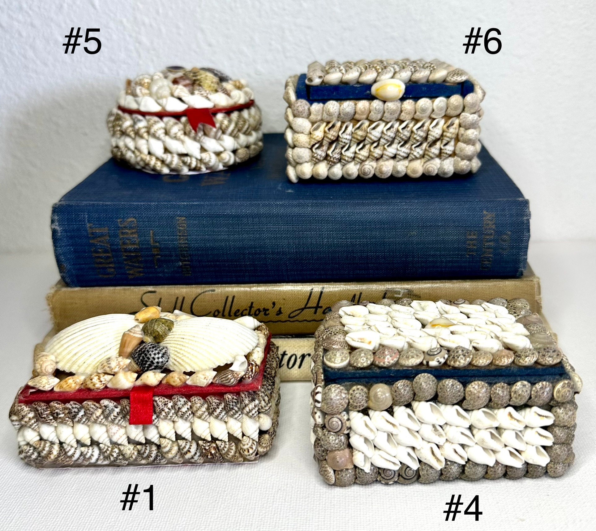 Vintage Seashell Encrusted Trinket Box Maritime, Coastal, Nautical ...