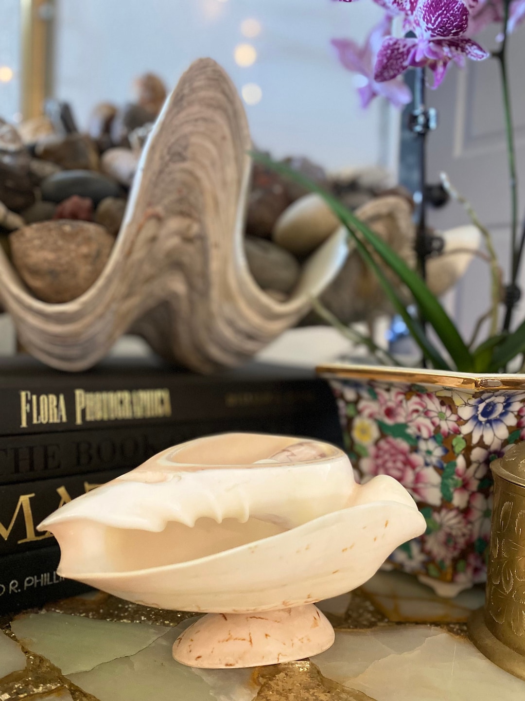 Handmade Natural Seashell Footed Bowl | Antique Seashell Dish | Real ...