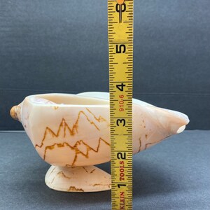 Handmade Natural Seashell Footed Bowl | Antique Seashell Dish | Real ...