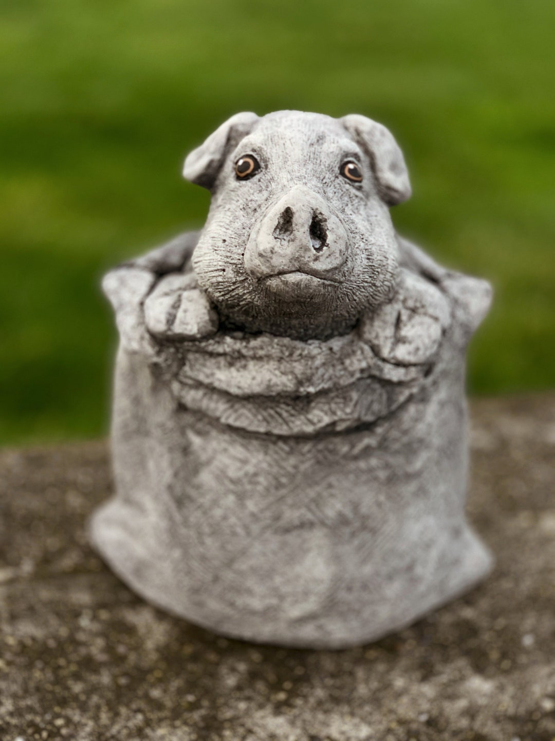 Concrete Pig Sculpture Farmhouse Decoration Stone Farm Animals Garden ...