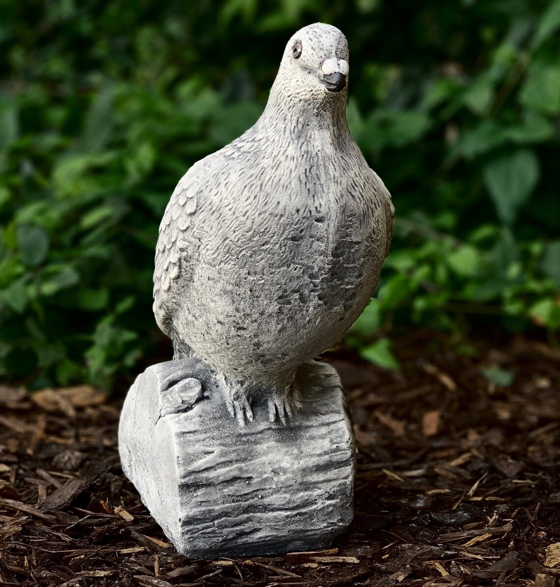 Dove of Piece Cement Dove Sculpture Lovely Dove Figurine - Etsy
