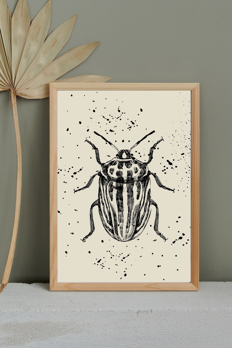 Entomology Insect Print Set, Wall Decor, Room Decor, Gallery Wall Art ...