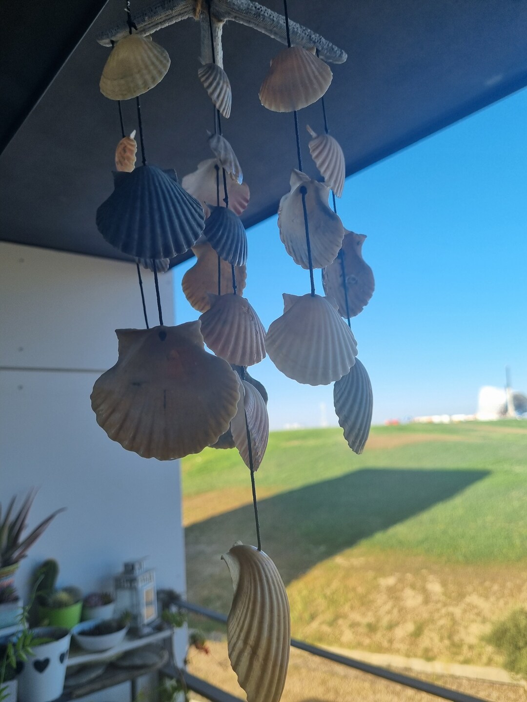 Dreamcatcher/ Tropical/ Beach Decor/ Home Decor/ Atlantic - Etsy