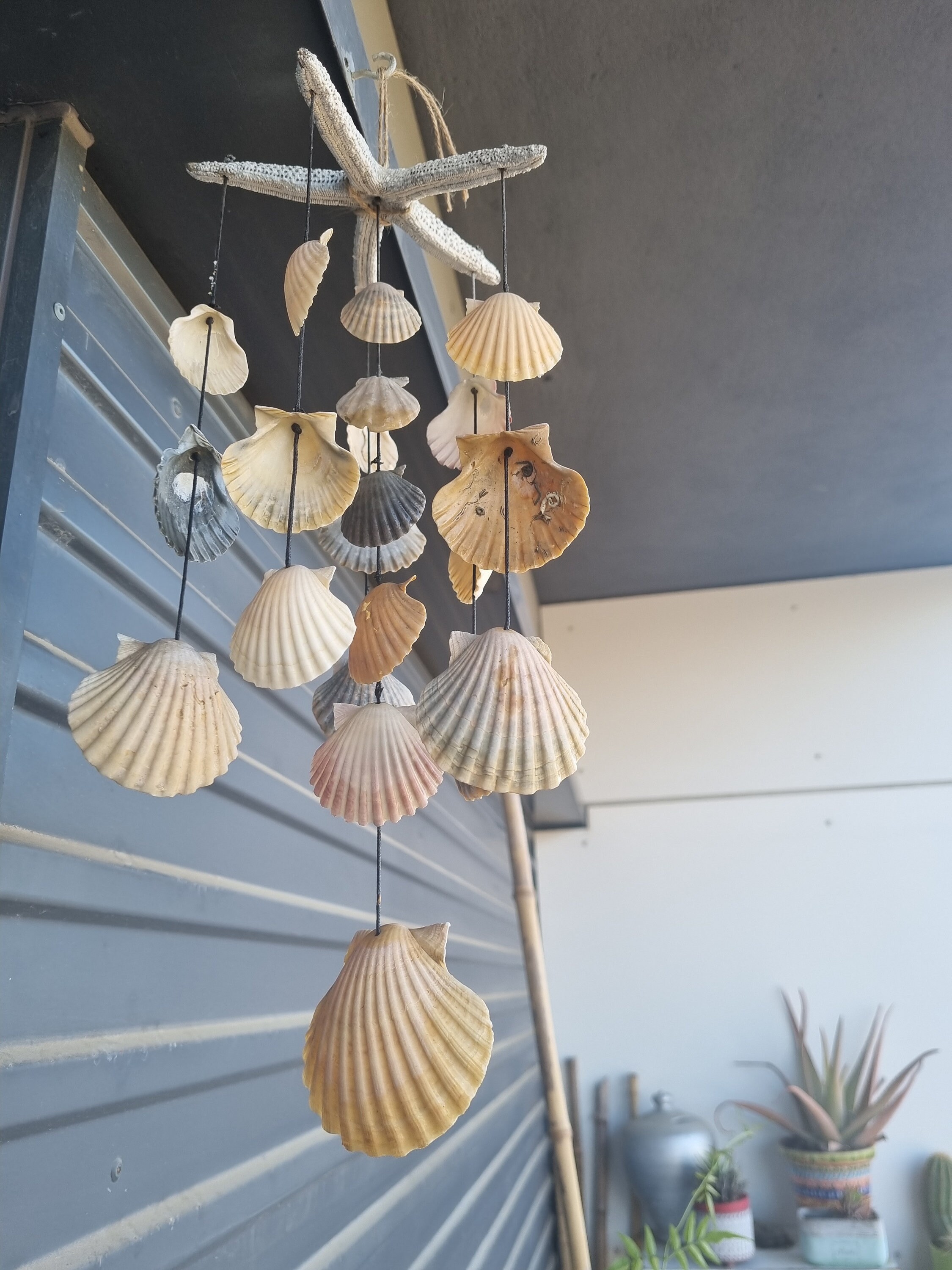 Dreamcatcher/ Tropical/ Beach Decor/ Home Decor/ Atlantic - Etsy