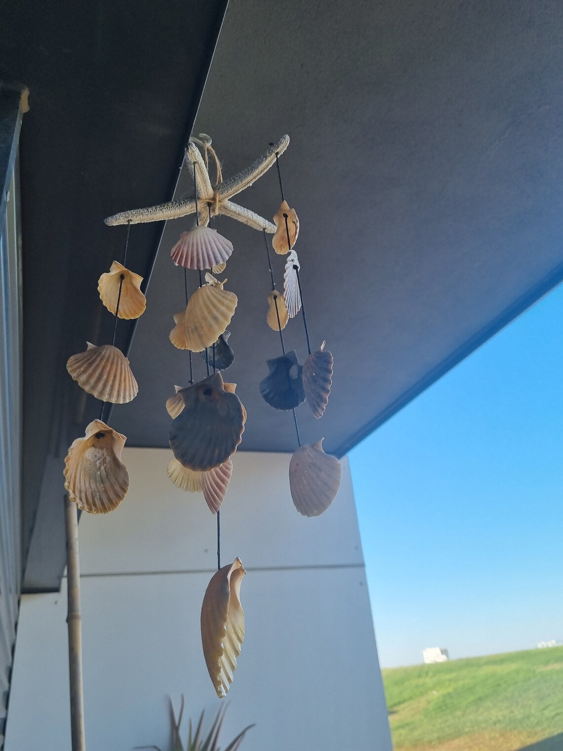 Dreamcatcher/ Tropical/ Beach Decor/ Home Decor/ Atlantic - Etsy