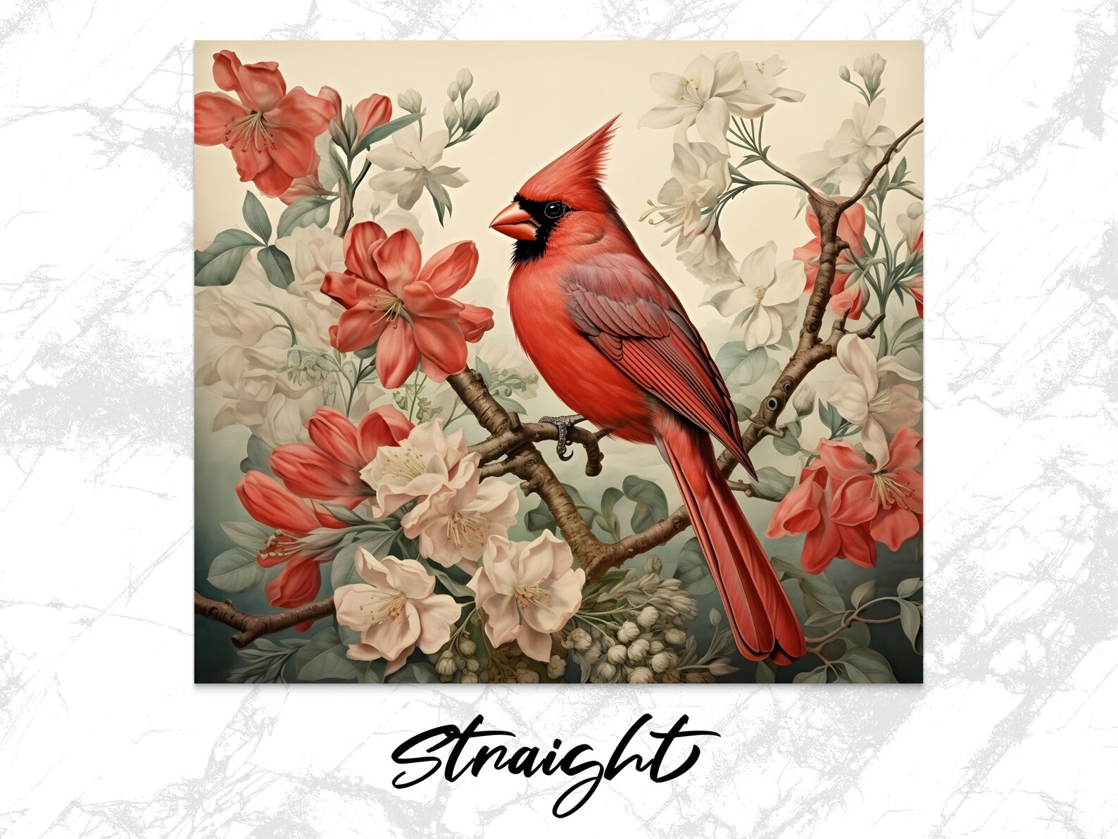 Red Cardinal 20 Oz Tumbler Wrap, Sublimation Design, Straight and ...