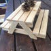 Squirrel Picnic Table Woodworking Plans: DIY Outdoor Feeder (PDF ...