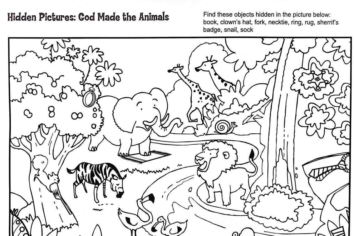 Christian Hidden Pictures: Bible Activity Worksheets (digital Download ...