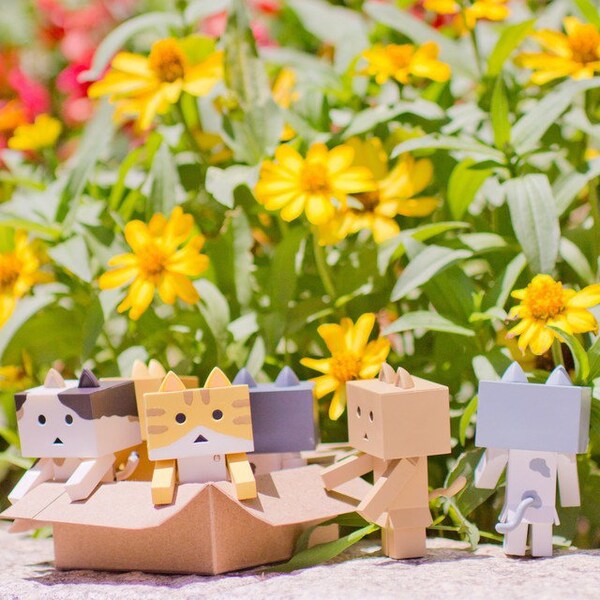 Danbo - Etsy