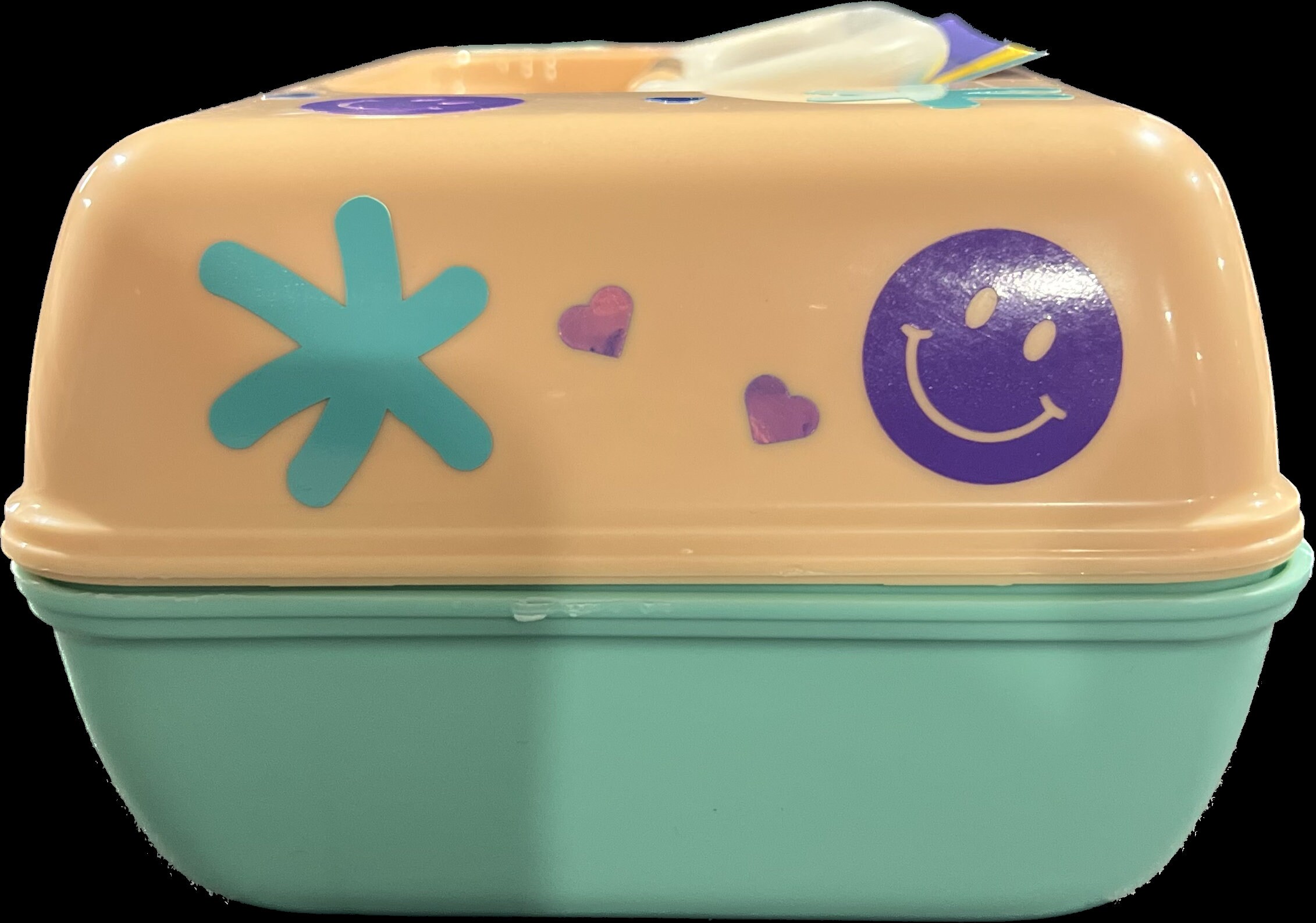 Customized Caboodles Pretty in Petite Vintage Case Peach/seafoam - Etsy