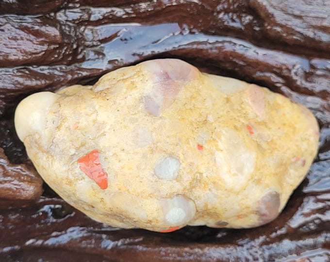 Michigan Pudding Stone, Natural, Jasper, Quartz - Etsy