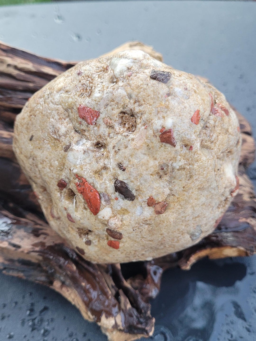 Michigan Pudding Stone, Jasper, Quartzite, Chert - Etsy